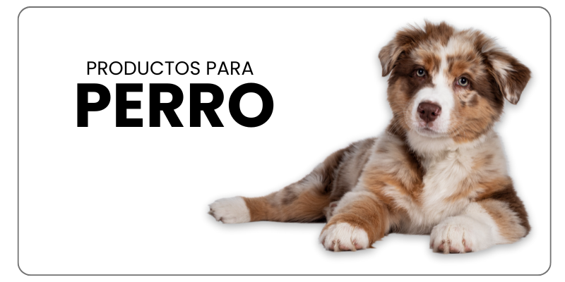 Kanu Pet – Kanu Pet | Aliados