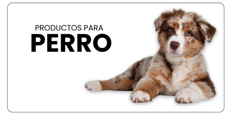 Kanu Pet – Kanu Pet | Aliados